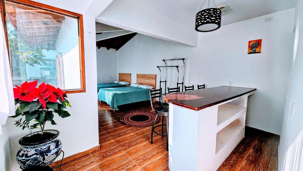 Ofertas en Los Temazcales de Xochitepec (Casa de huéspedes) (México)